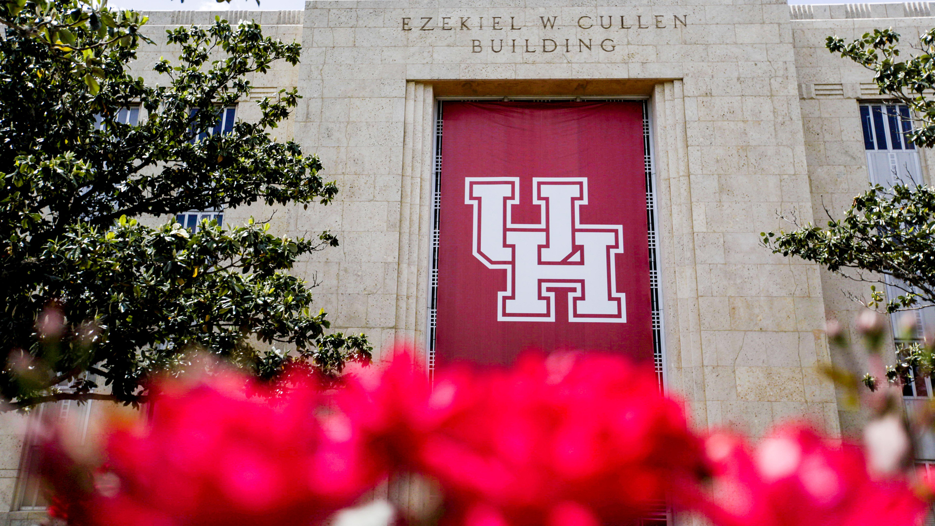 Openings | Dr. Marzia Cescon