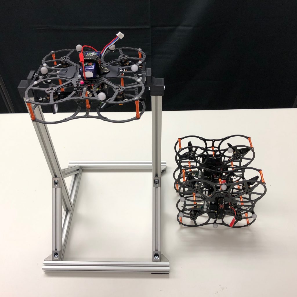 Flight Arena | Dr. Marzia Cescon