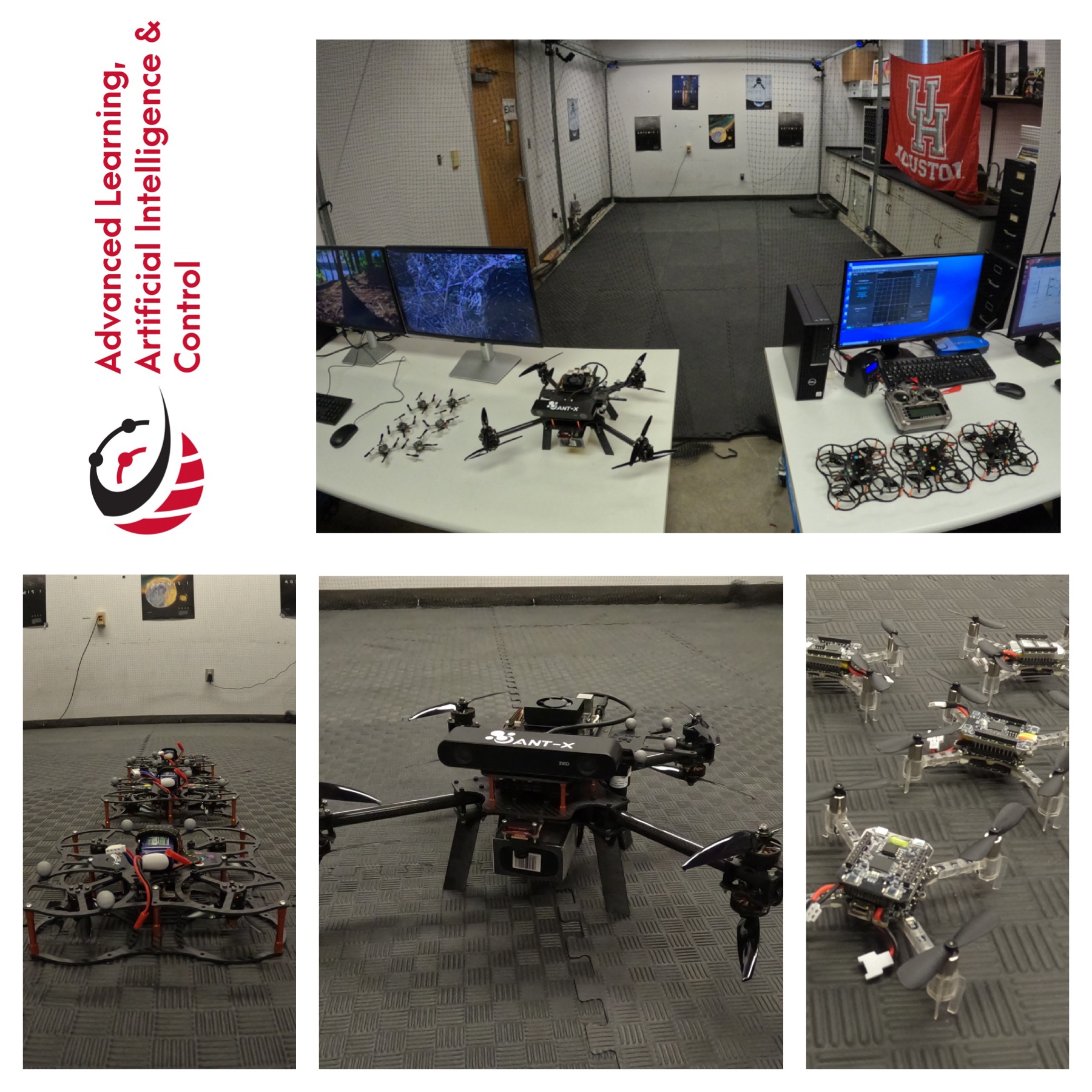 Flight Arena | Dr. Marzia Cescon